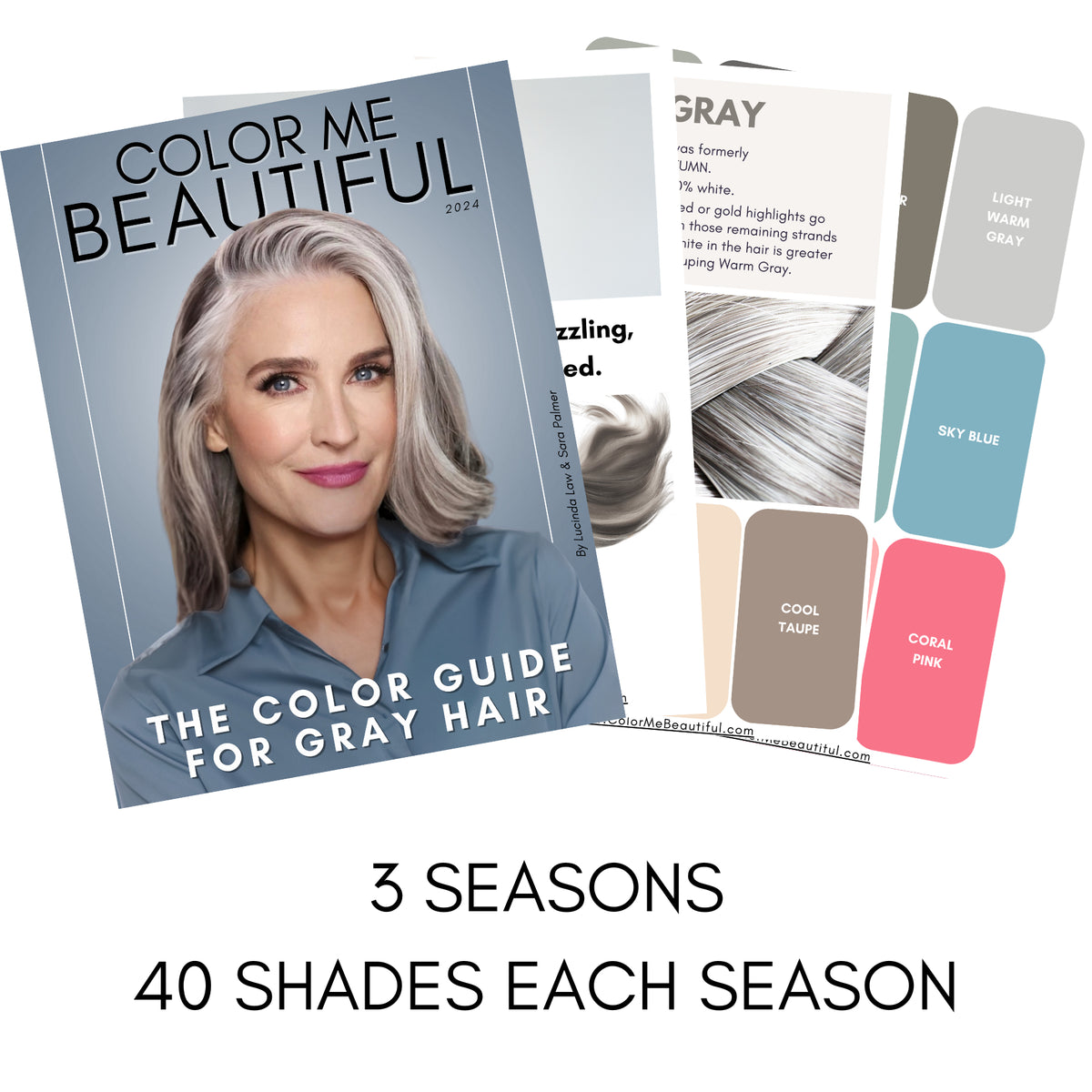 Going Gray Digital Swatch Download | Color Guide for Gray Hair – Color ...